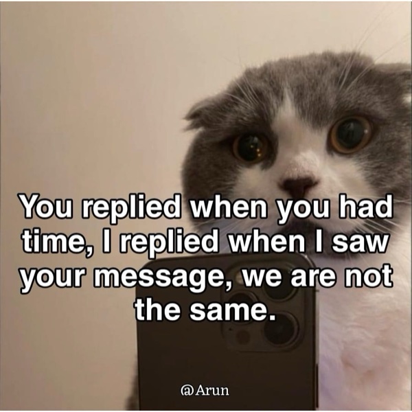 22 Wholesome Memes – Clean Memes