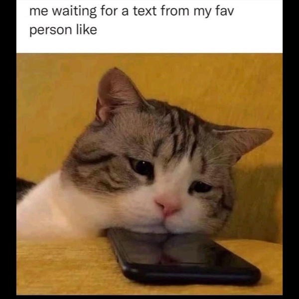 Morning clean meme drop 8-2-24 – Clean Memes