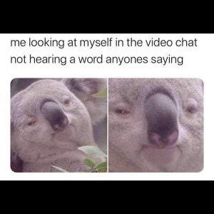 Clean Memes – Page 6 – The best and most clean memes online.