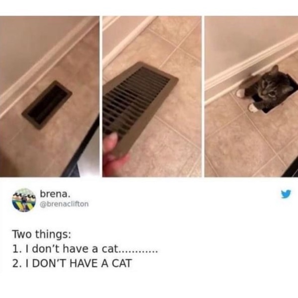 13 Wholesome Memes – Clean Memes