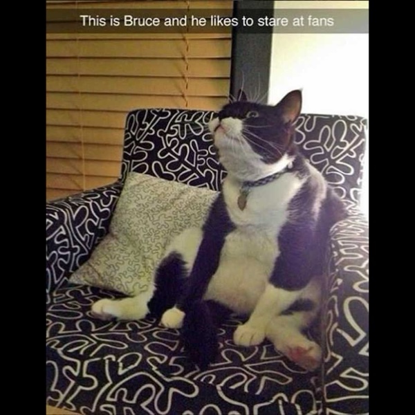 Clean Memes – Page 8 – The best and most clean memes online.