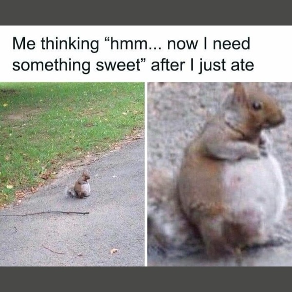 Clean Memes – The best and most clean memes online.