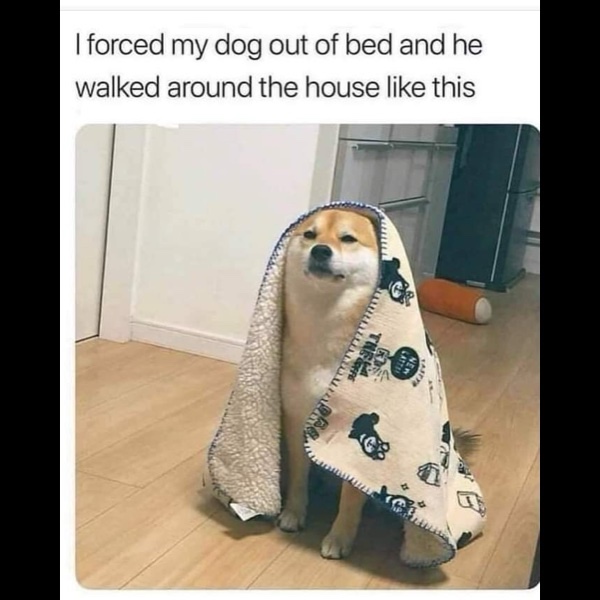 Morning clean meme drop 8-13-24 – Clean Memes