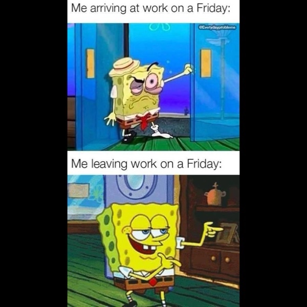 Clean Memes – Page 6 – The best and most clean memes online.