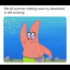 Clean Memes – Page 6 – The best and most clean memes online.