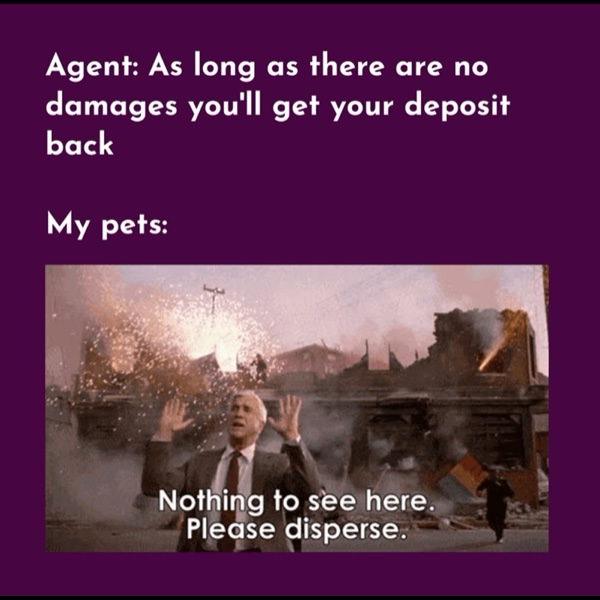 Noon clean meme drop 8-25-24 – Clean Memes