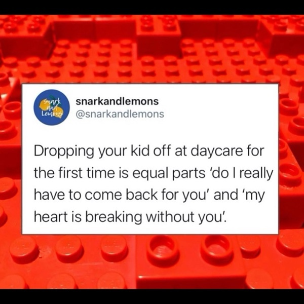 Morning clean meme drop 8-27-24 – Clean Memes