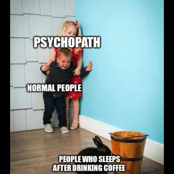 Clean Memes – Page 2 – The best and most clean memes online.