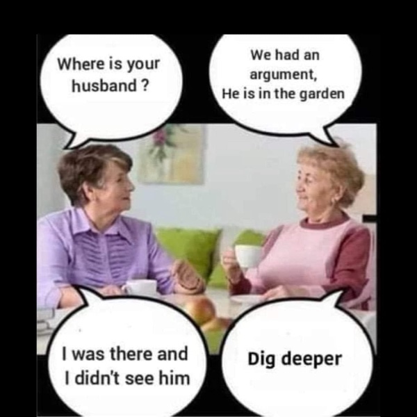 Clean Memes – The best and most clean memes online.