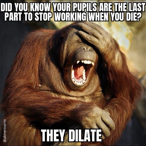 Clean Memes – Clean Memes