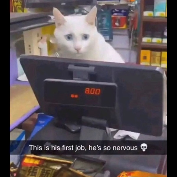 Clean Memes – The best and most clean memes online.