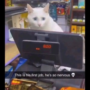 Clean Memes – The best and most clean memes online.