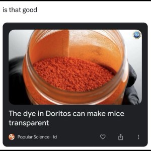 Clean Memes – The best and most clean memes online.