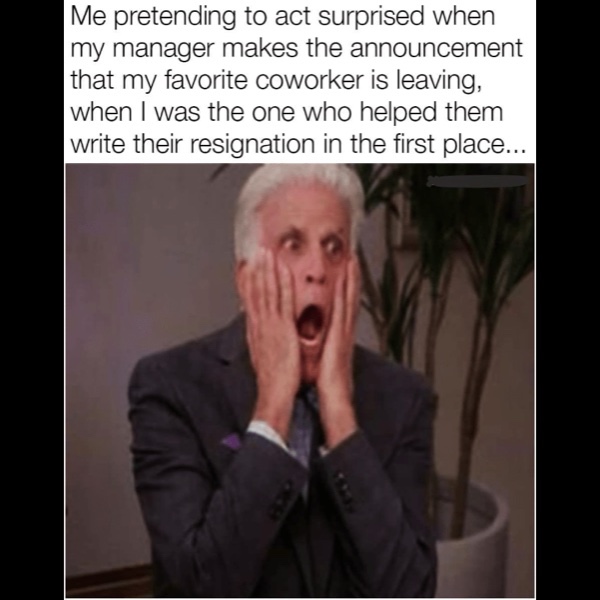 Clean Memes – The best and most clean memes online.