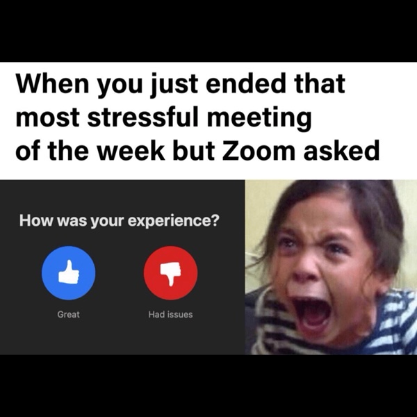 Clean Memes – The best and most clean memes online.