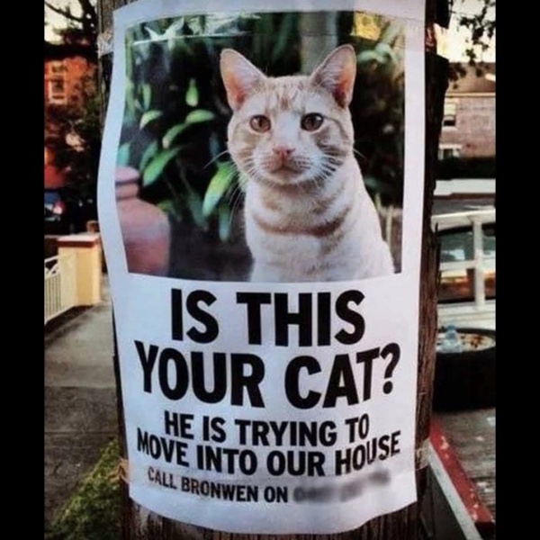 Clean Memes – Clean Memes