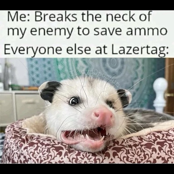 Clean Memes – Clean Memes