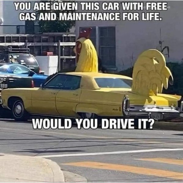 Clean Memes – Page 4 – The best and most clean memes online.