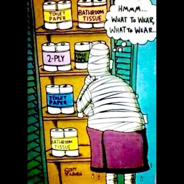 Clean Memes – The best and most clean memes online.