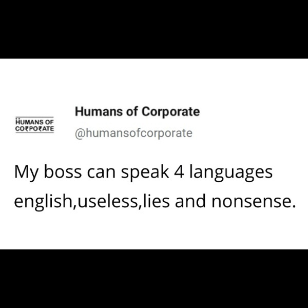 Clean Memes – Page 3 – The best and most clean memes online.