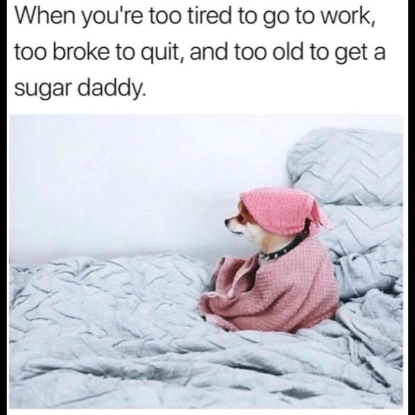 Clean Memes – Page 3 – The best and most clean memes online.