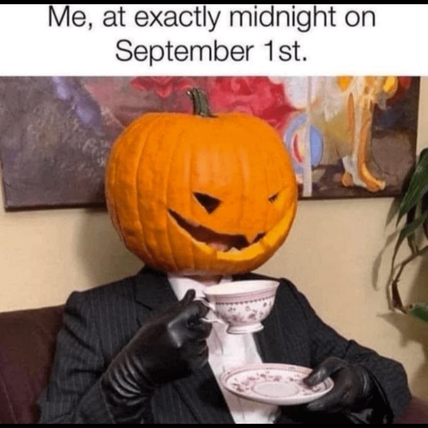 Clean Memes – Page 8 – The best and most clean memes online.