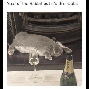 Clean Memes – Page 8 – The best and most clean memes online.