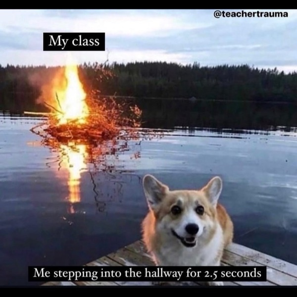 Clean Memes – Page 2 – The best and most clean memes online.