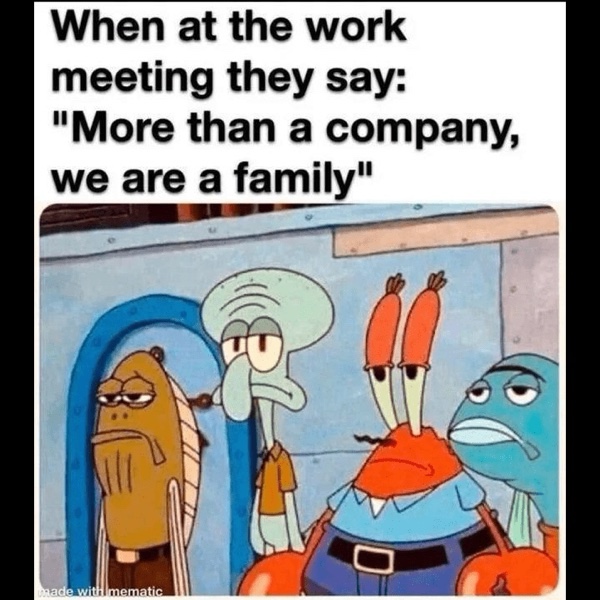 Clean Memes – The best and most clean memes online.