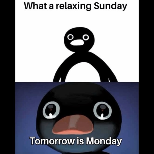 Clean Memes – The best and most clean memes online.