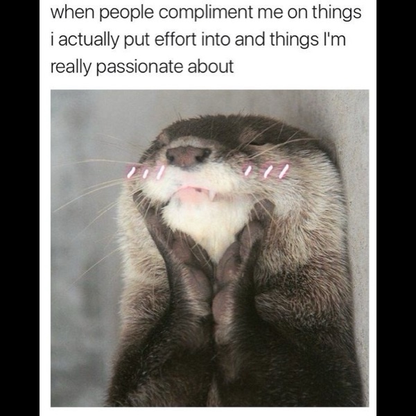 Clean Memes – The best and most clean memes online.