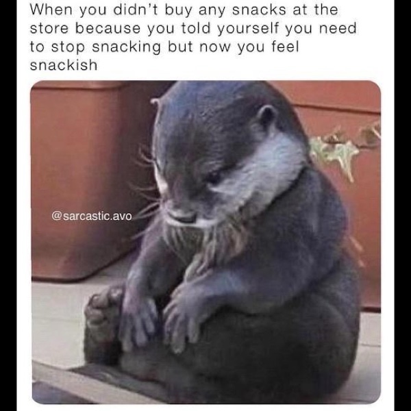 Clean Memes – The best and most clean memes online.