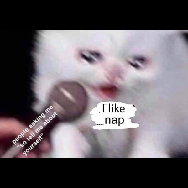 Clean Memes – The best and most clean memes online.