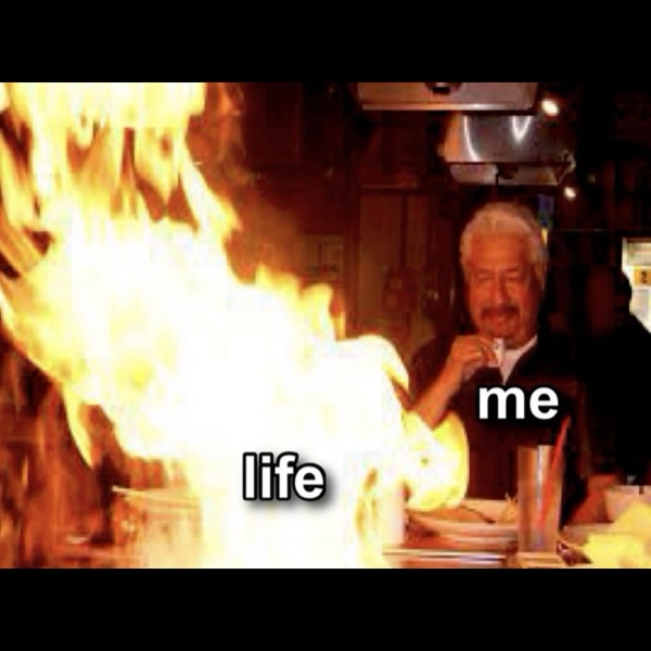 Clean Memes – The best and most clean memes online.