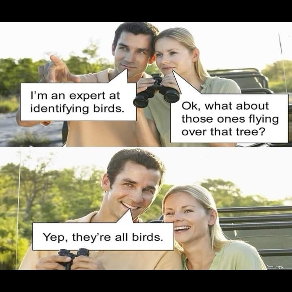 Clean Memes – Page 2 – The best and most clean memes online.