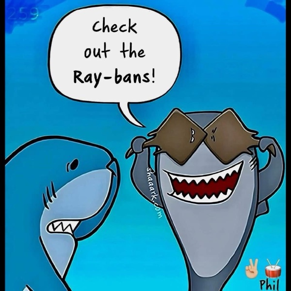 Clean Memes – The best and most clean memes online.