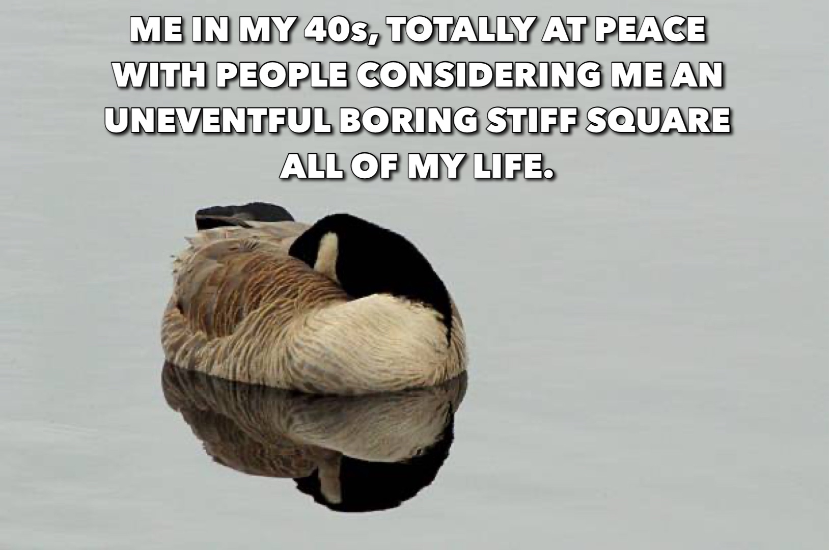 Clean Memes – Page 2 – The best and most clean memes online.