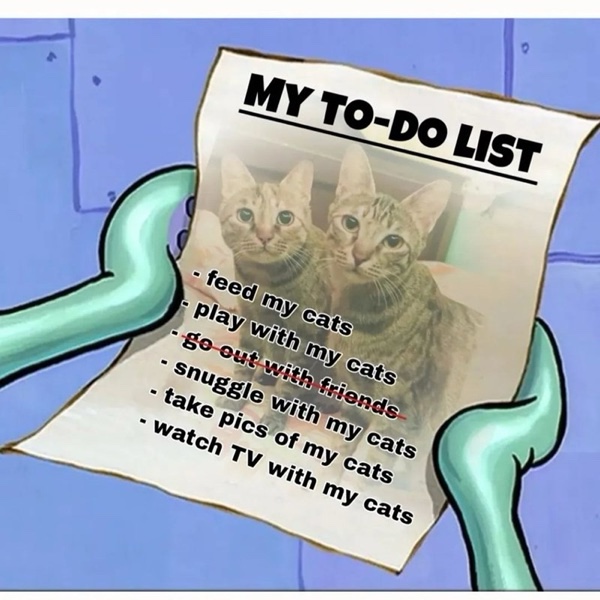 Cat Memes – Clean Memes