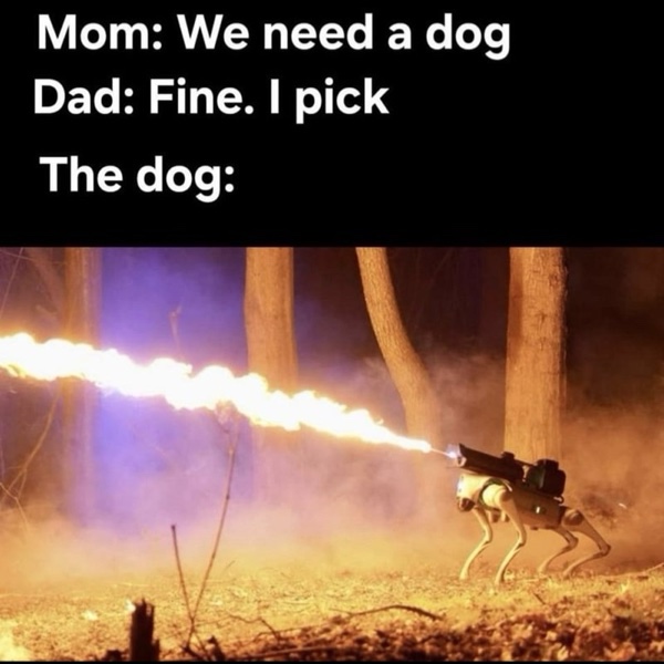 20 Clean Memes 11-20-2024 – Clean Memes