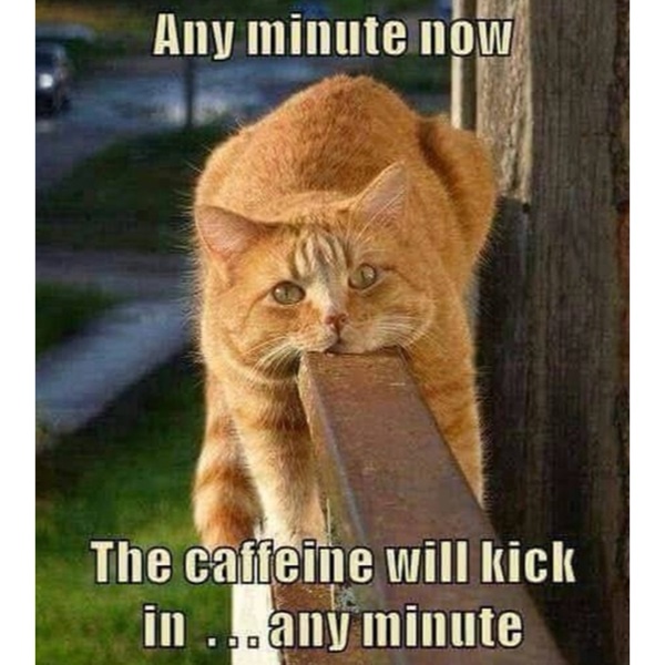 Clean Memes – Page 7 – The best and most clean memes online.