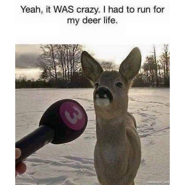 Clean Memes – The best and most clean memes online.