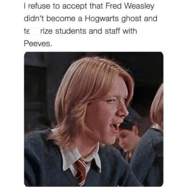 Harry Potter Memes – Clean Memes