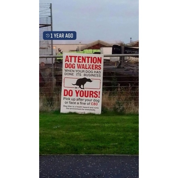 Clean Memes – Page 6 – The best and most clean memes online.