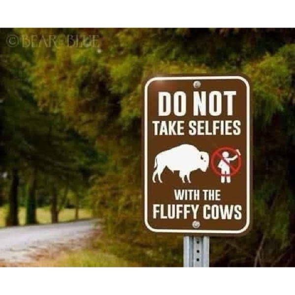 Clean Memes – Page 4 – The best and most clean memes online.