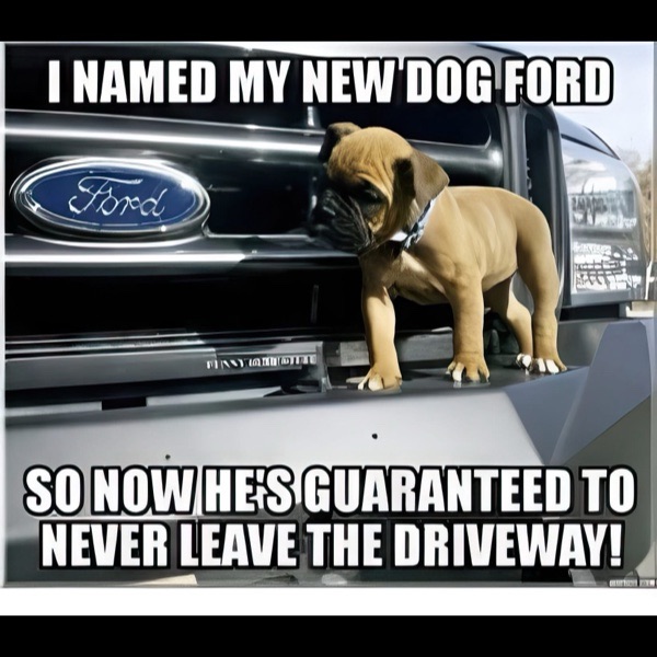 Clean Memes – Page 4 – The best and most clean memes online.