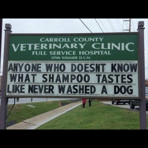 Clean Memes – Page 2 – The best and most clean memes online.