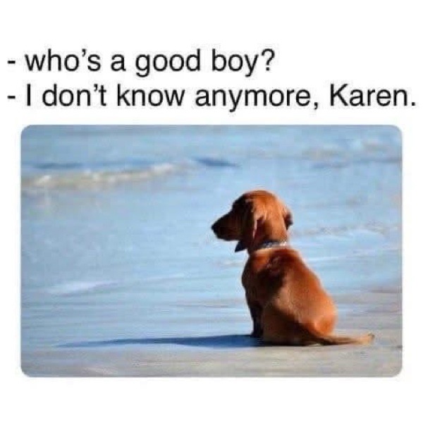 Clean Memes – Page 2 – The best and most clean memes online.