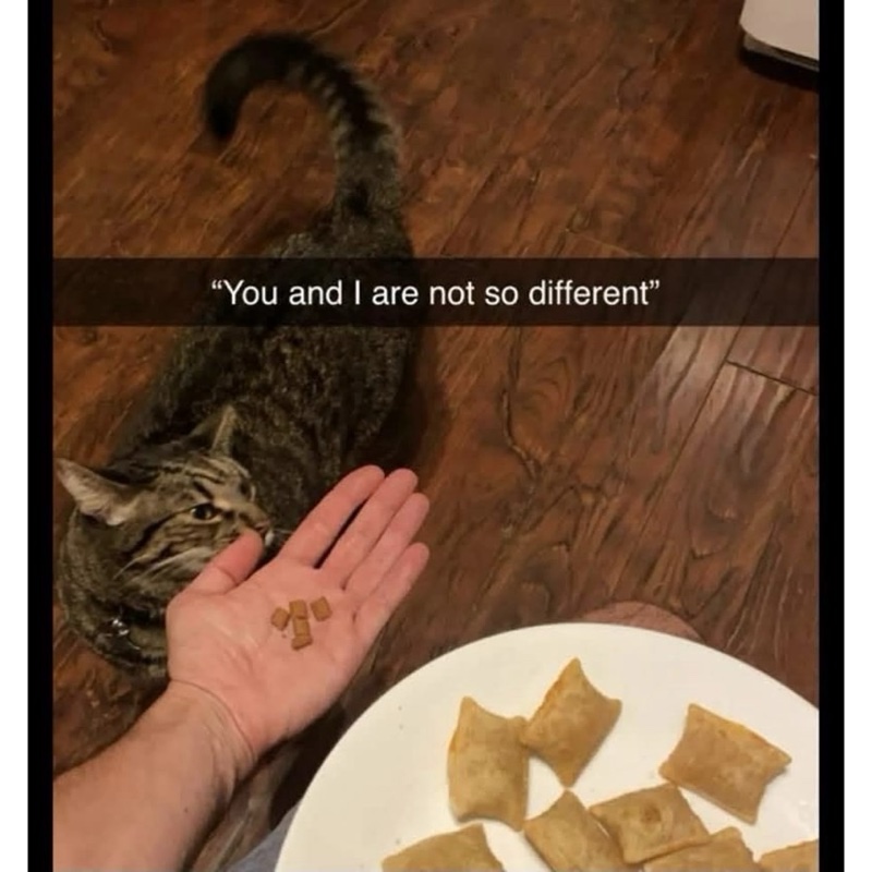 Clean meme drop 2-26-25 – Clean Memes