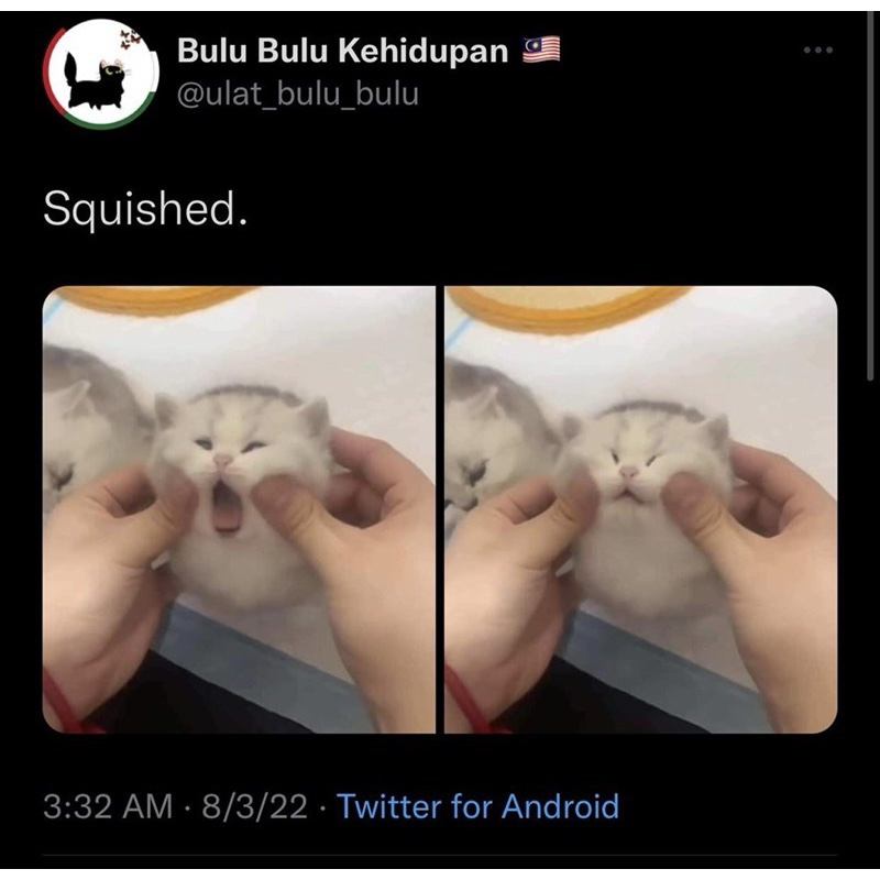 Clean Memes – The best and most clean memes online.