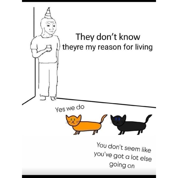 Clean Memes – Page 3 – The best and most clean memes online.